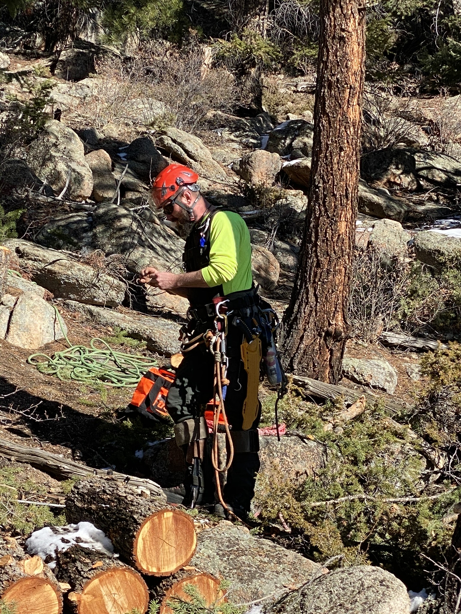 Service You Can Trust Colorado S Premiere Tree Removal Service